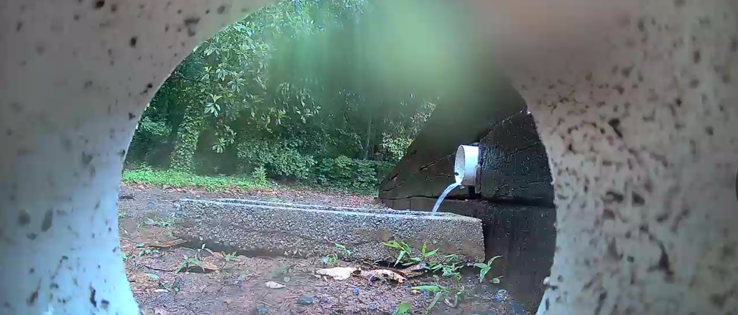 How Much Rain Can ATXTurf Lawn Turf Drain? - ATXTurf - Artificial Turf